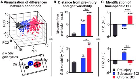 Multi Step Statistical Analysis Of Gait Patterns A Representation Of