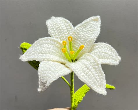 Crochet Lily Rcrochet