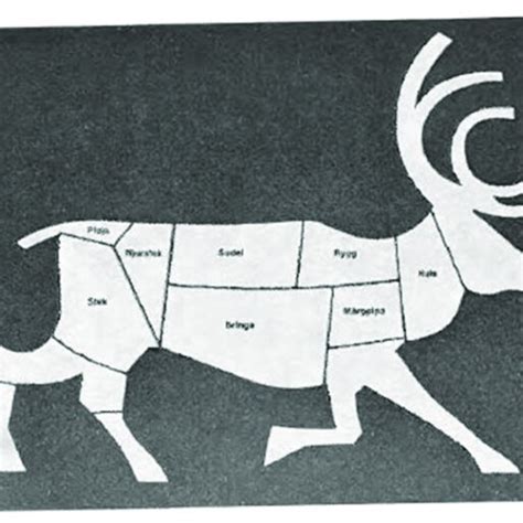 Image Of Reindeer Meat Cuts Source Ekonomisk Renskötsel Stockholm