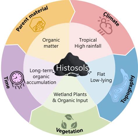 Get To Know Histosols Soil Water And Ecosystem Sciences