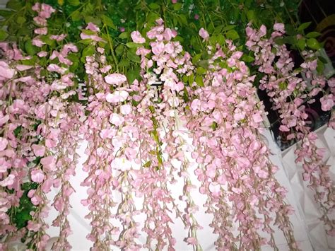 Quality Of Life In Agbor History Cuture Trends 2025