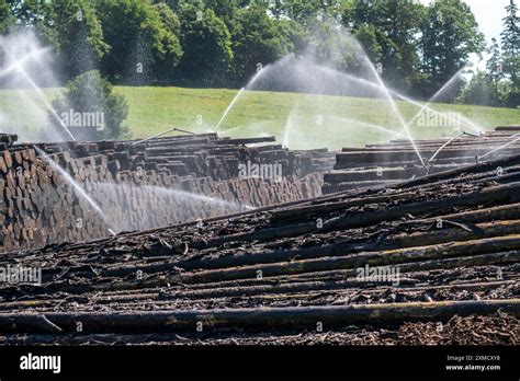 Wet Wood Storage Of A Sawmill Timber That Is Stored Longer Is