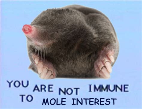 You Are Not Immune To Mole Interest Mole Interest Know Your Meme