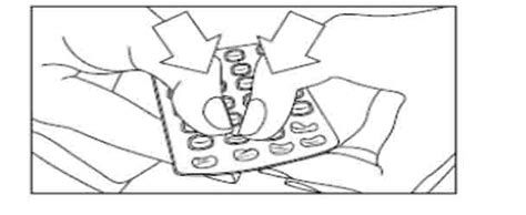 Zenchent Fe Package Insert Prescribing Information Moa