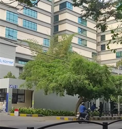 Tcs Nqt Syllabus 2025 New Exam Date Age Eligibility Exam Pattern