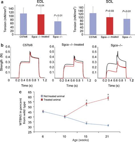 Rescue Of Contractile Force And Stretch Sensibility Evaluation Of
