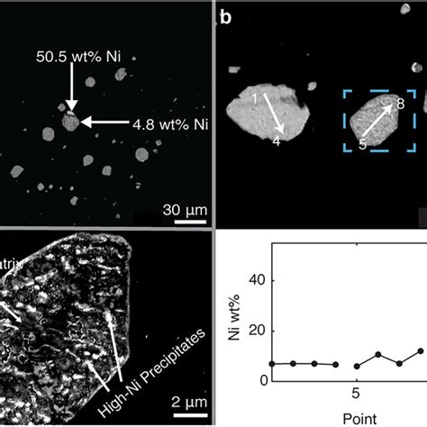 Microscopy Images And Compositions Of Mbs Metal A Bse Image Of Metal