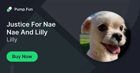 Justice For Nae Nae And Lilly Lilly Pump