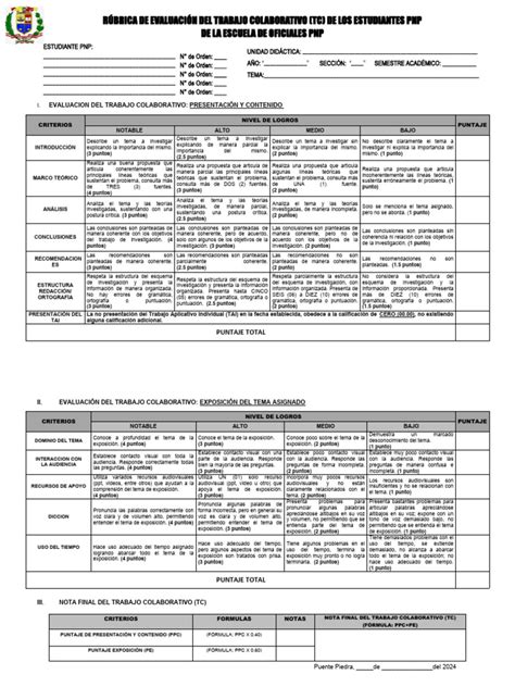 Rubica Colaborativo Eo Pnp Pdf Cognición