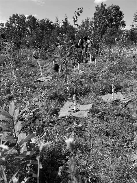 Sustainability Commitments Fleetzero