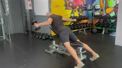 Chest Supported Reverse Fly Muscles Worked At Roseanne Wallace Blog