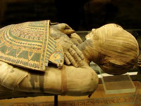 8 Curiosidades Sobre As Múmias Egípcias Arqueologia Egípcia