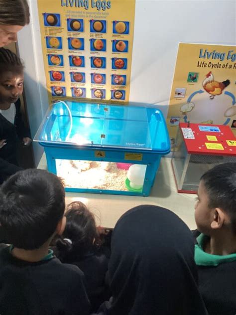 Image Galleries Archive Sidney Stringer Primary