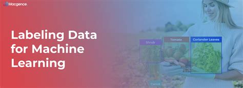 expert labeling data for machine learning success macgence