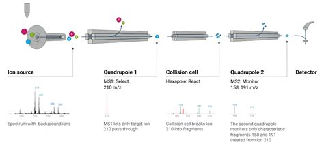 Lcms Frequently Asked Questions Agilent Lcms Frequently Asked Questions Agilent
