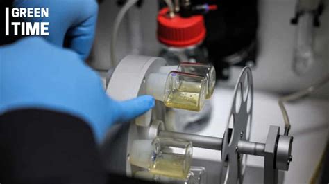 New Uk Guidelines Ensure Ethical Research In Stem Cell Based Embryo Models Green Time