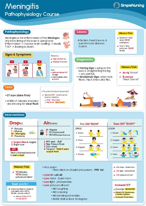 10 Meningitis Summary Nursing Meningitis Pathophysiology Course