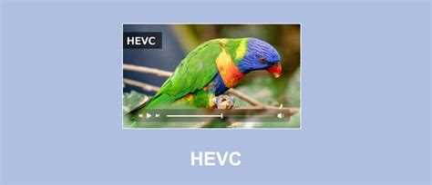 Hevc Dieser Codec Ausführlich Und Klar Vorstellen