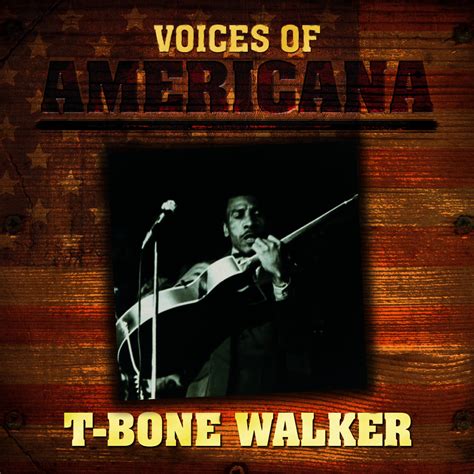 T Bone Walker Hi Res中文网