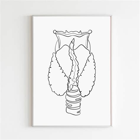 Thyroid Gland Art Print Endocrinology Artwork Human Anatomy Poster