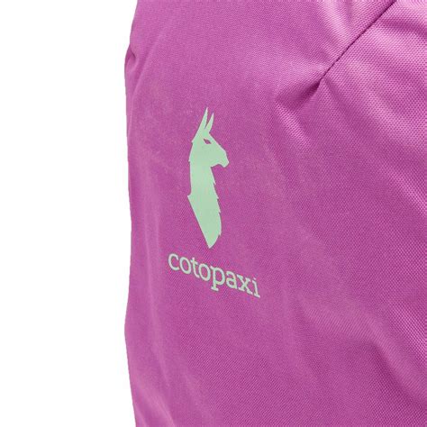 Cotopaxi Mens Allpa 28l Travel Pack In Del Dia Cotopaxi