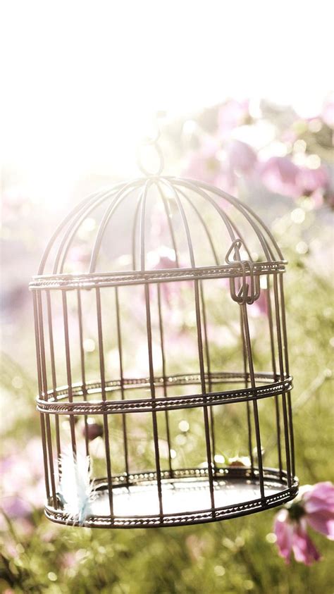 Bird Cage Wallpapers Top Free Bird Cage Backgrounds Wallpaperaccess