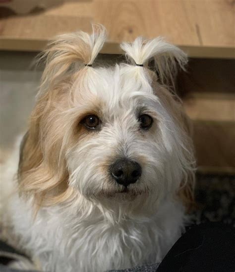 Cutest Face Ever Yoors