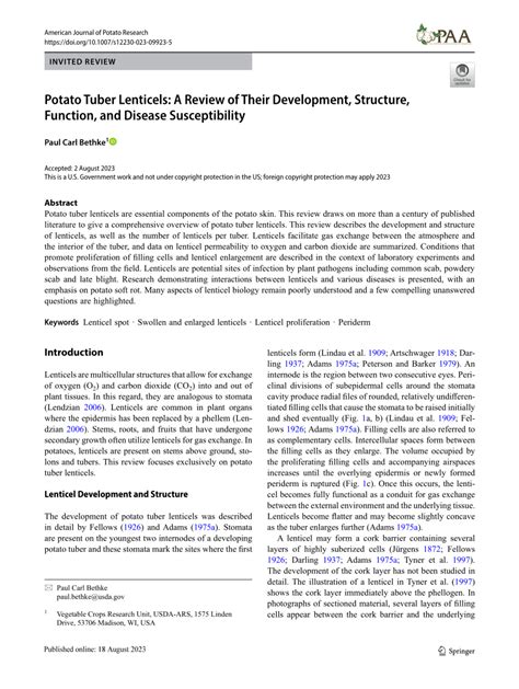 Pdf Potato Tuber Lenticels A Review Of Their Development Structure