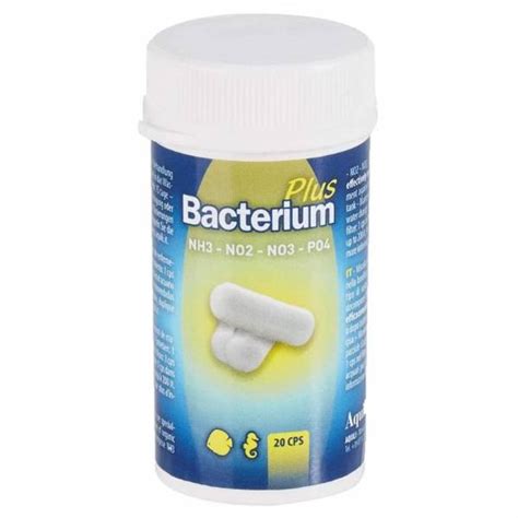 Bacterium Plus Capsule