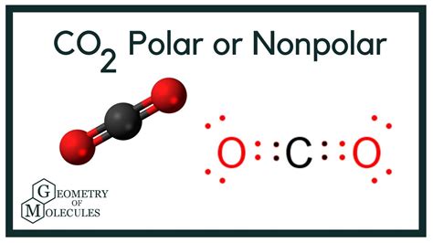 Is Co2 Polar Or Nonpolar High News Media