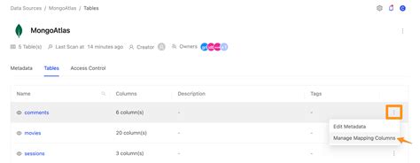 Custom Schema Canner Enterprise Custom Schema Canner Enterprise