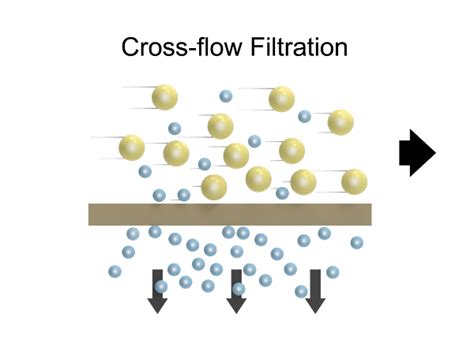Uf Membrane Dead End Filtration And Cross Flow Filtration