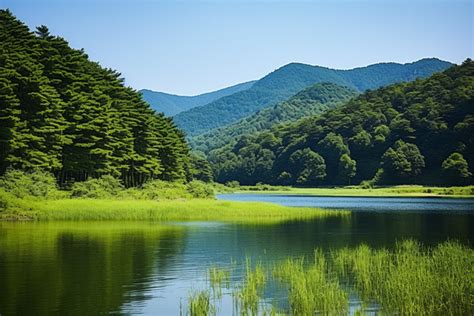 산과 나무 사이의 호수 가을 괴산군 나무 배경 일러스트 및 사진 무료 다운로드 Pngtree