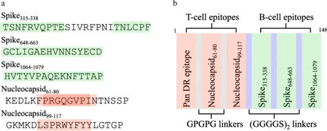 Bioinformatics Analysis Of Epitope Based Vaccine Design Against The