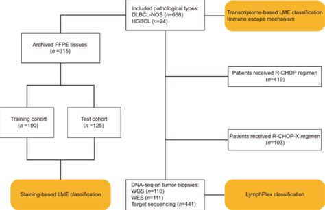 Practical Microenvironment Classification In Diffuse Large B Cell