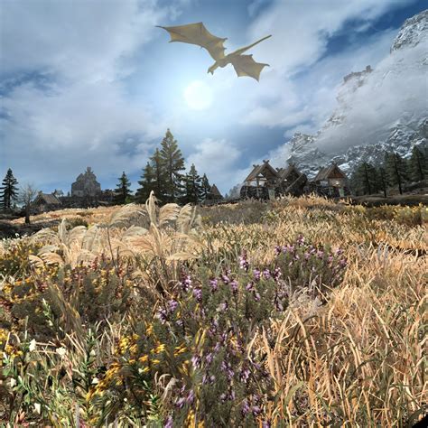 Community Shader Grass Lighting Showcase Rskyrimvr