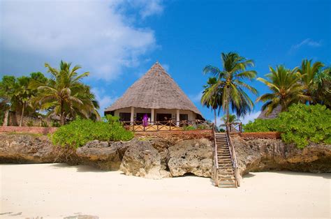300 Free Zanzibar And Tanzania Images Pixabay