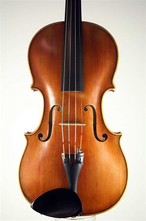 William Royal Forster