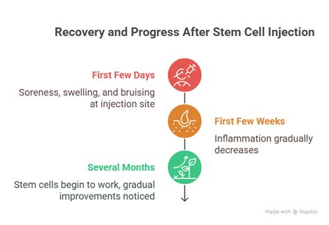 How To Speed Up Stem Cell Injection Recovery