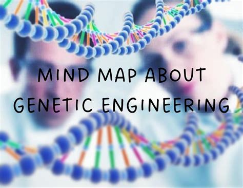 Solution Genetic Engineering Mind Map Studypool