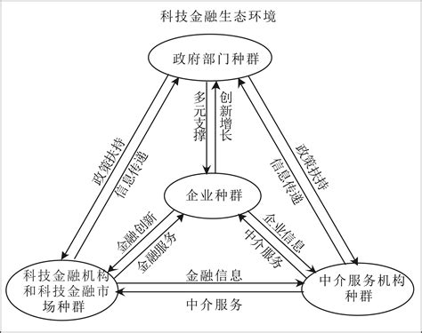 区域科技金融生态系统共生与进化实证研究