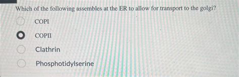 Solved Which Of The Following Assembles At The Er To Allow