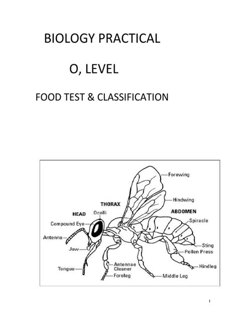 Biology Practical Olevel Pdf Moss Plants