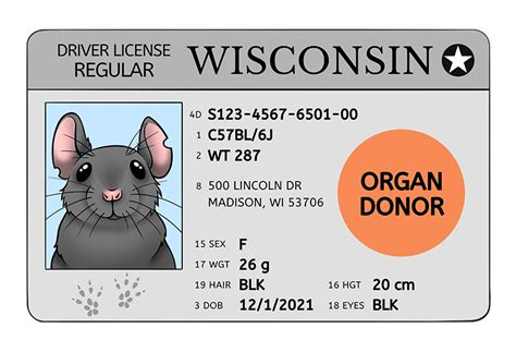 Winning Bioethics Cartoon Targets Publicly Restricted Research