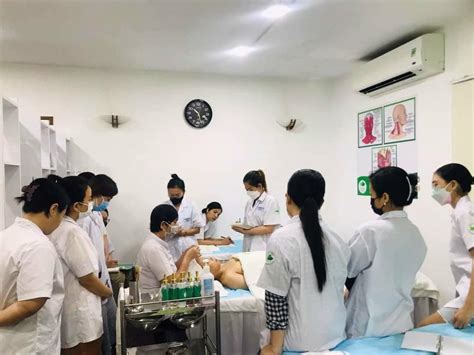 International Standard Massage Therapy Course Systematic Training Võ