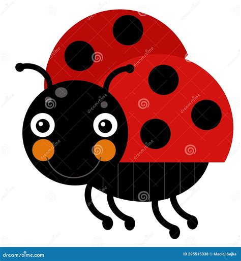Insect Ladybug Beetle Cartoon Illustration 119749077