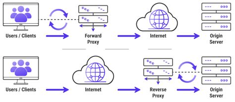 Different Types Of Proxies Based On Server Type Anonymity Protocol