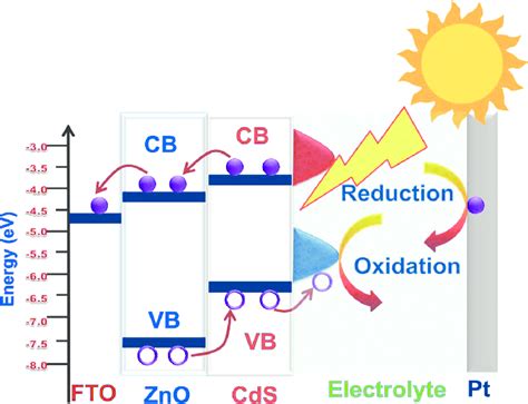 Schematic Representation Of Electron Hole Transport In Cds Decorated