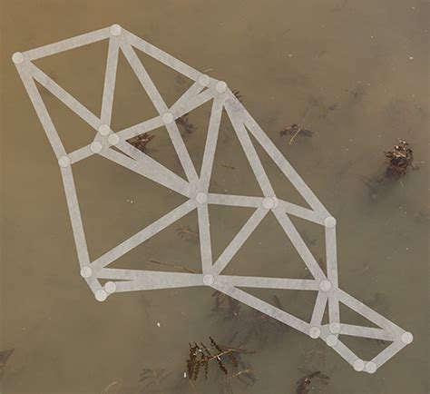 Gallery Central Carry Me By Perdita Phillips