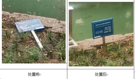 一起找茬 看这群有魔法的人如何给城市美颜杭州网